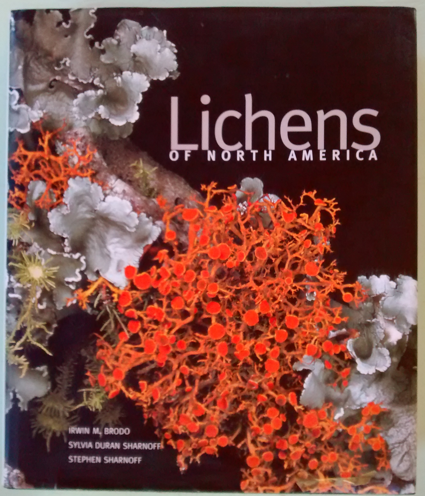 New Resources for the KVR Lichen Project « KVR Lichens